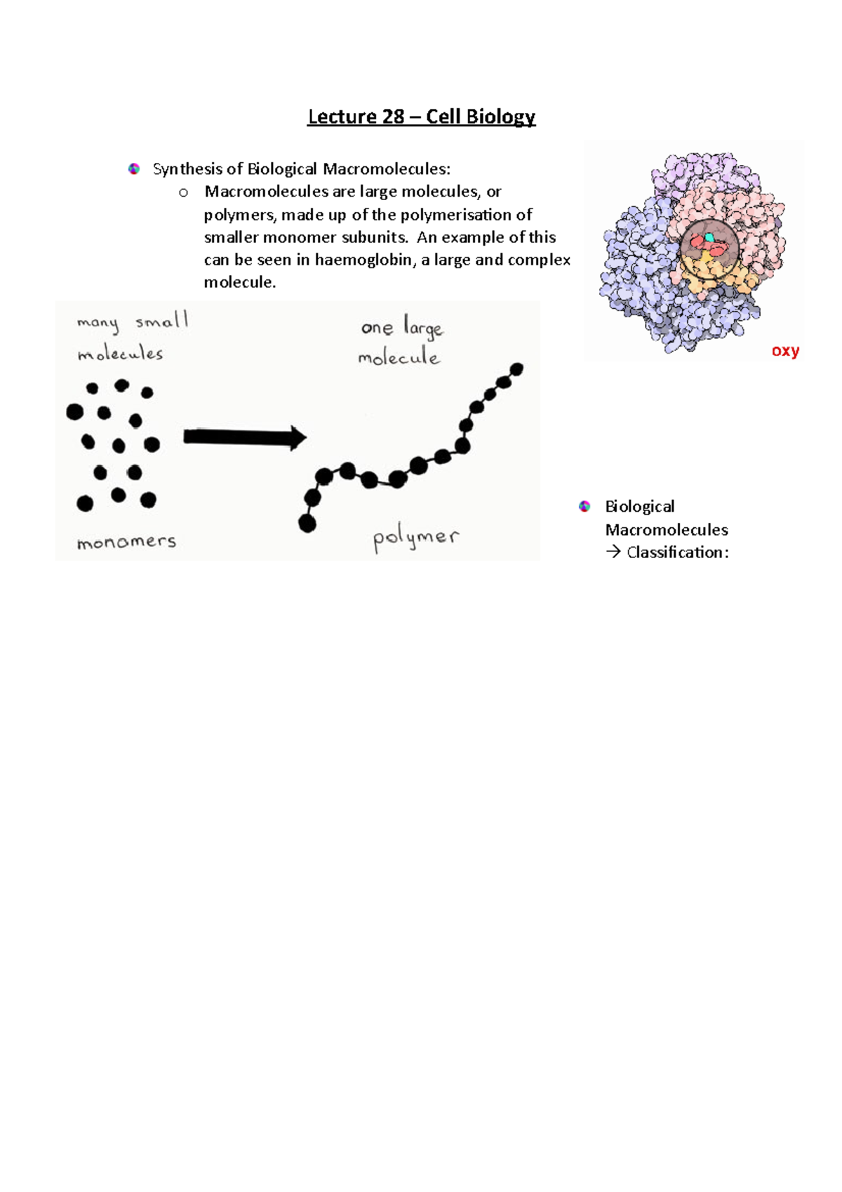 Lecture 28 - Cell Biology - Lecture 28 – Cell Biology Synthesis of ...