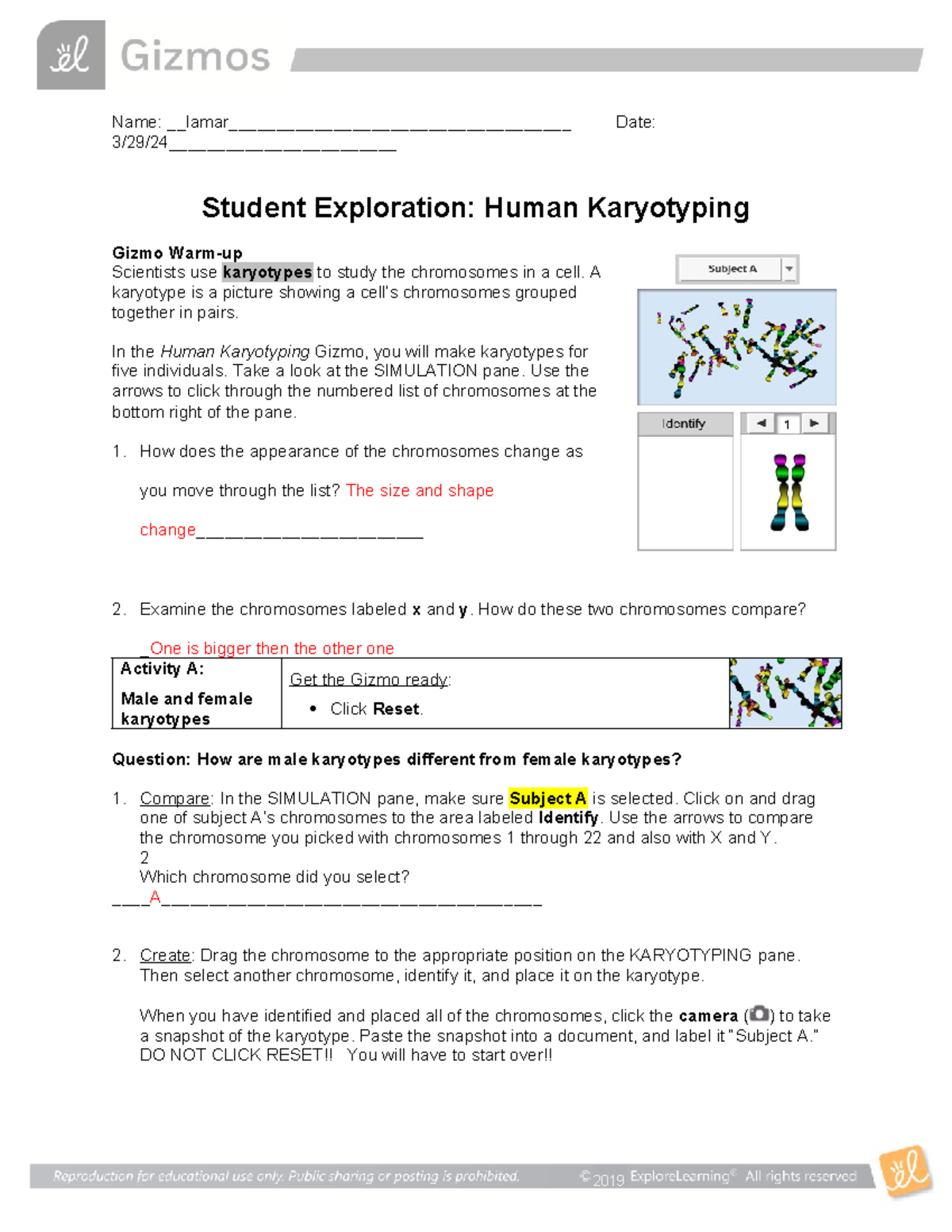 LAB4.1 Gizmo Karyotyping Student v2 - Name: lamar ...