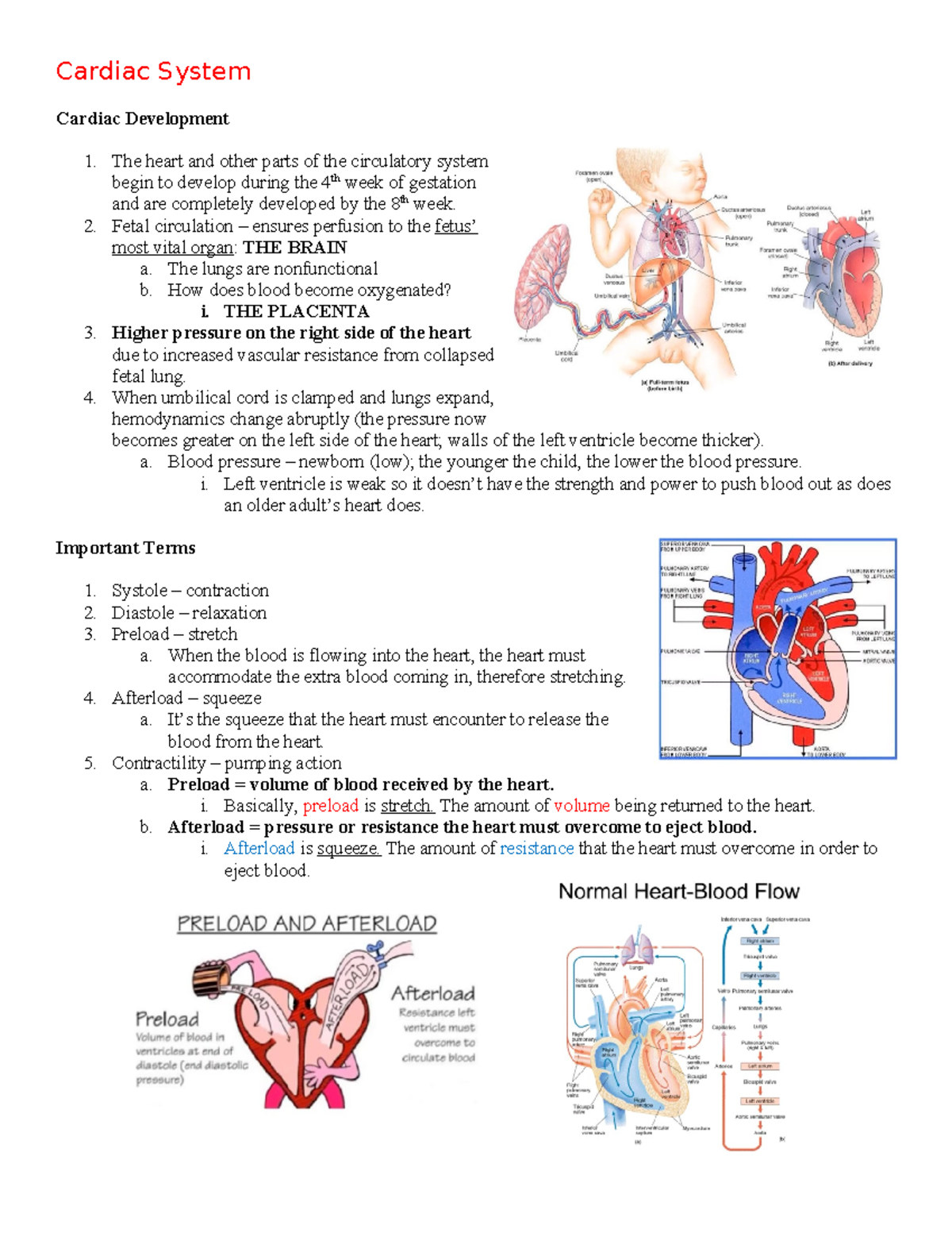 Cardiac System - Nursing Notes. - Cardiac System Cardiac Development 1 ...