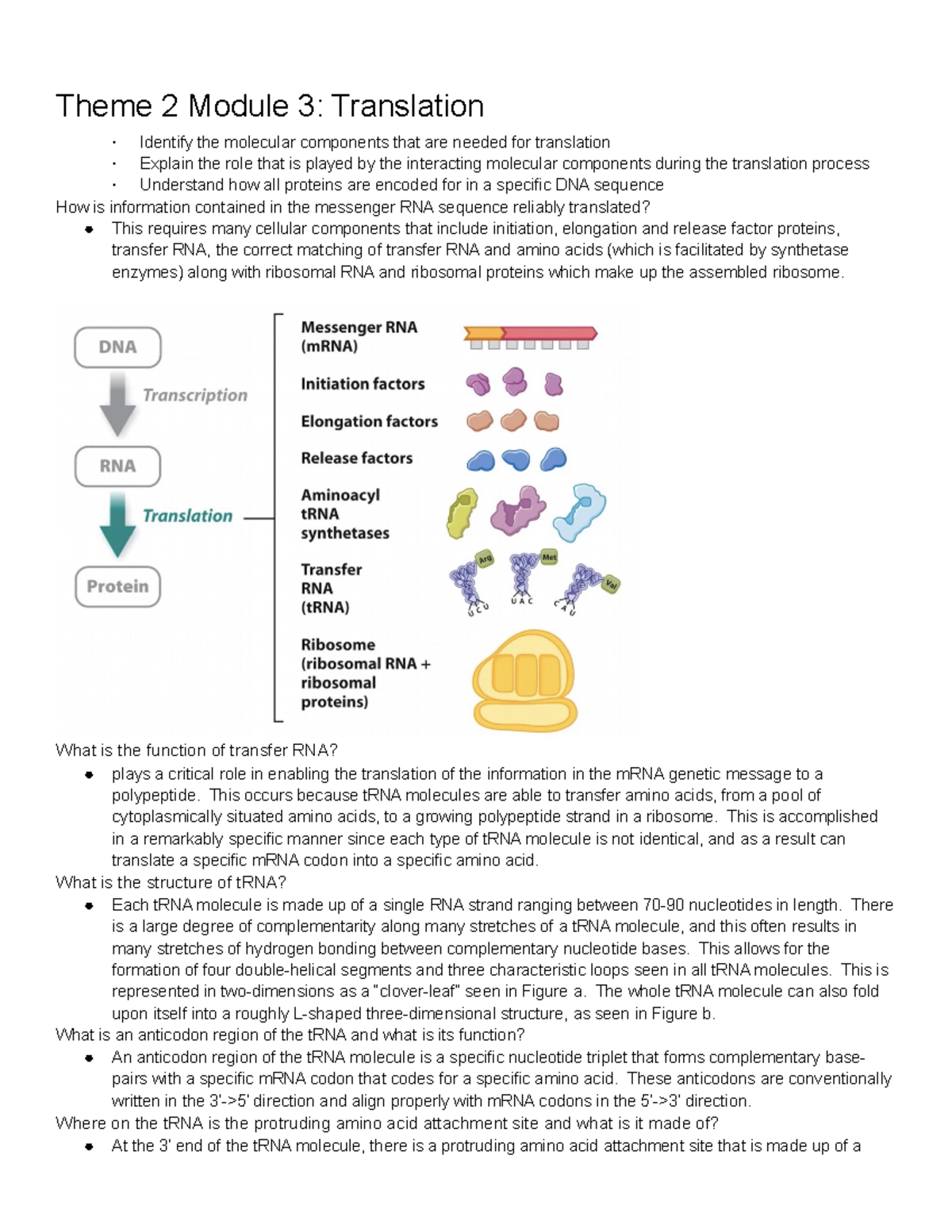 Bio 1A03 Test 2 notes - Theme 2 Module 3: Translation · Identify the ...
