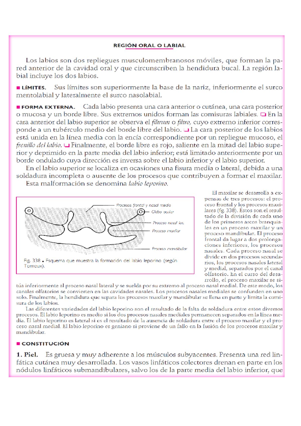 Region labial Bibliografia - Introducción a la odontología - Studocu