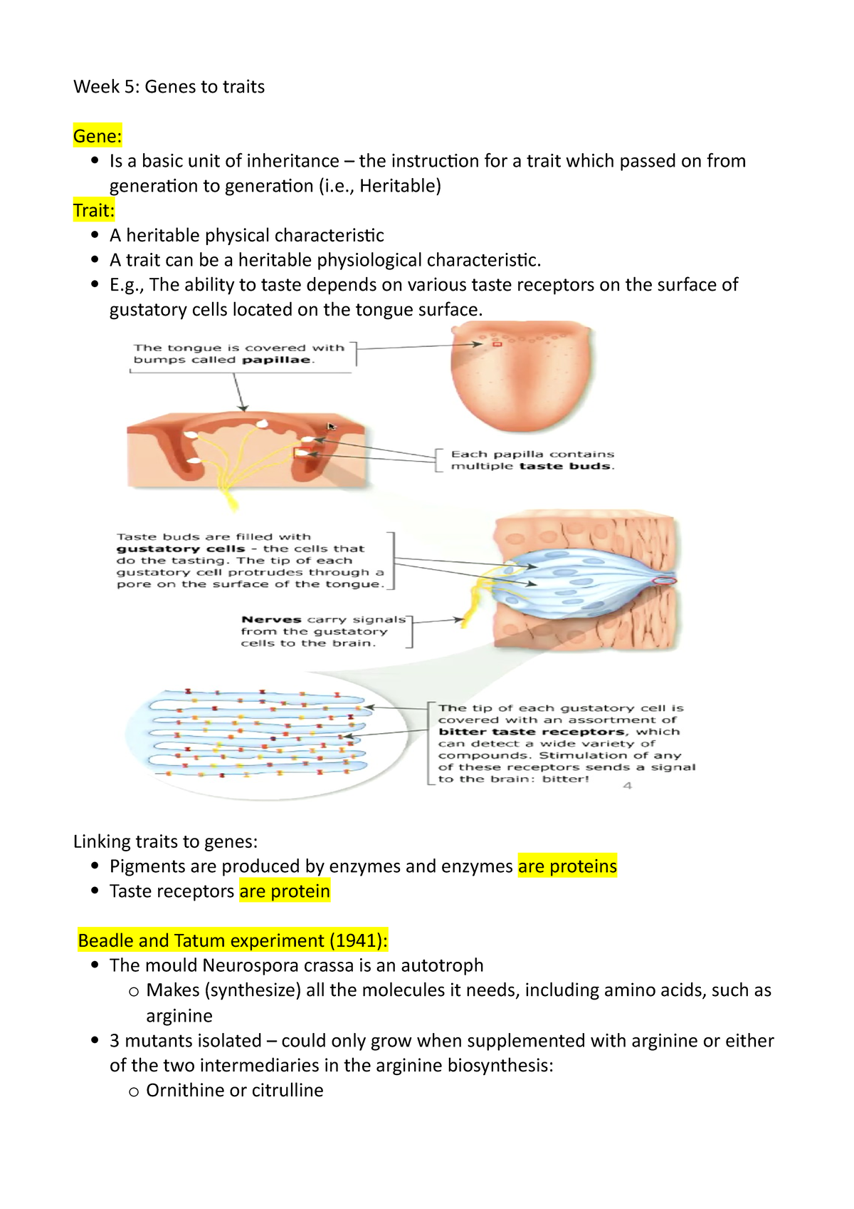 Lecture for week5 - Week 5: Genes to traits Gene: Is a basic unit of ...