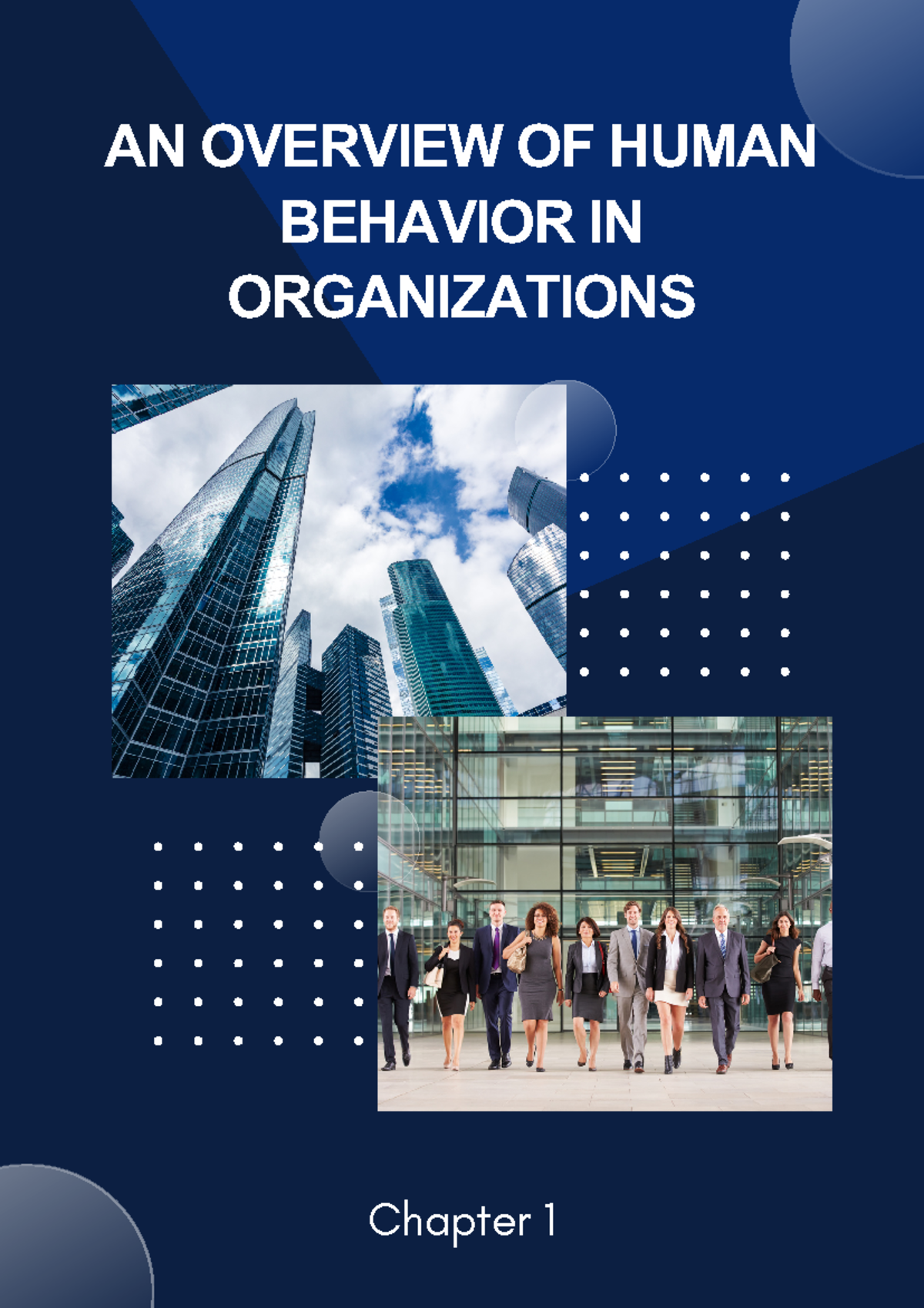 Chapter 1 An Overview of Human Behavior in Organizations - AN OVERVIEW ...
