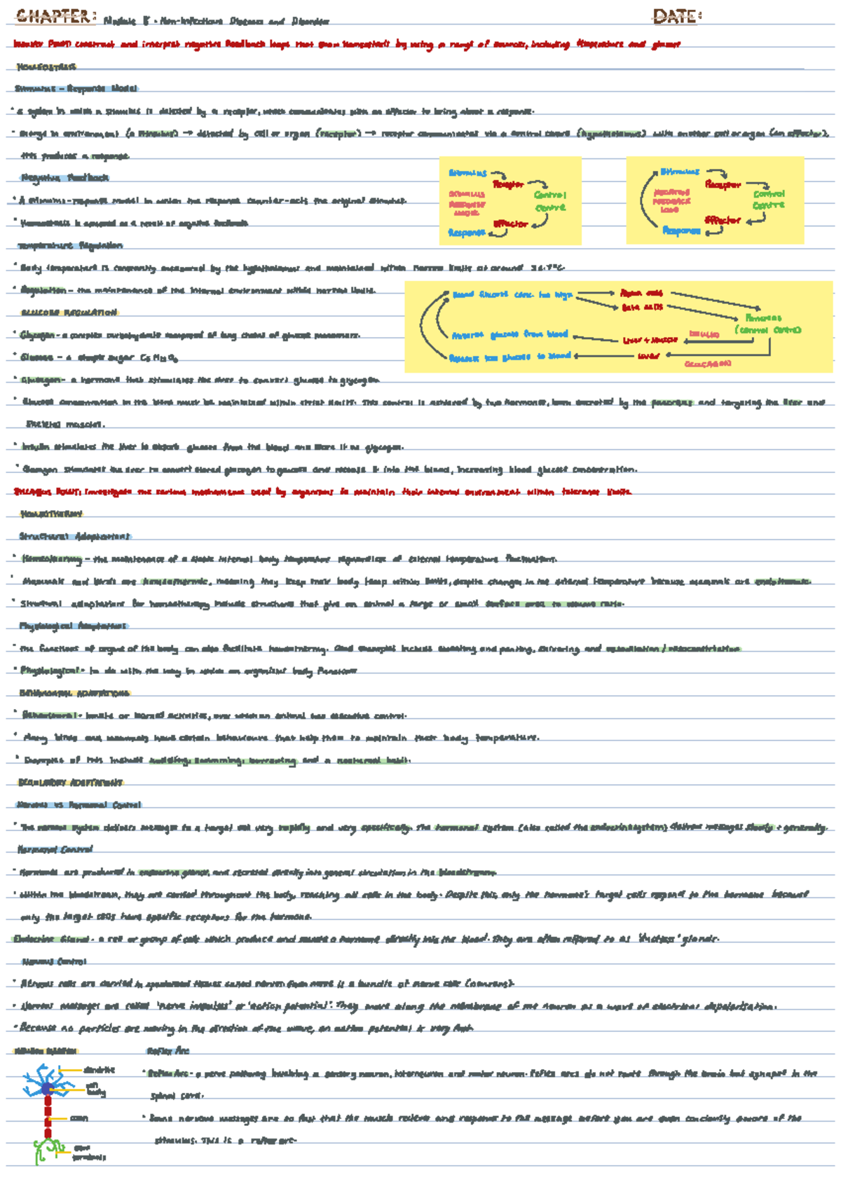 HSC Biology: Module 8 - Non-Infectious Diseases and Disorders - chapter ...