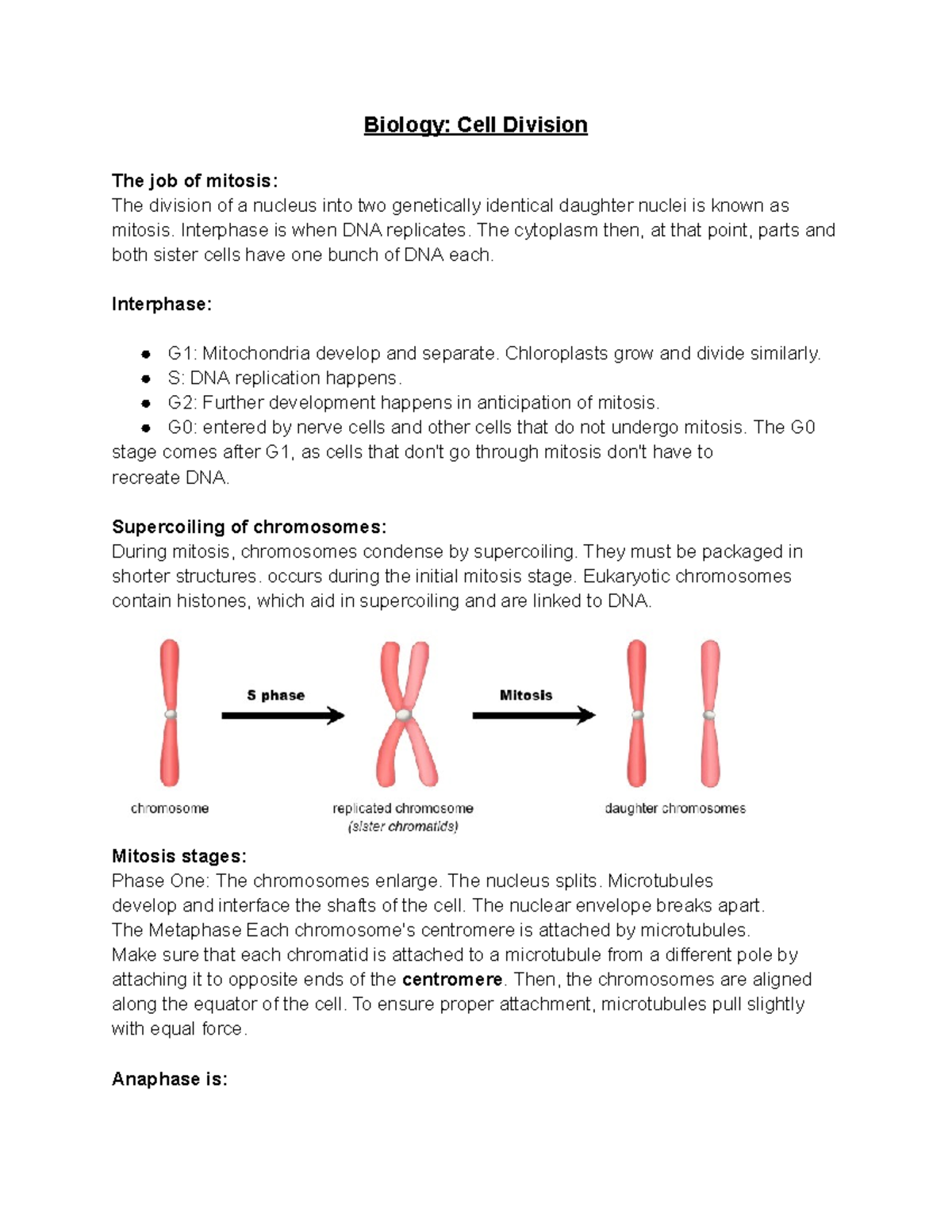 Biology Cell Division - Biology: Cell Division The job of mitosis: The ...