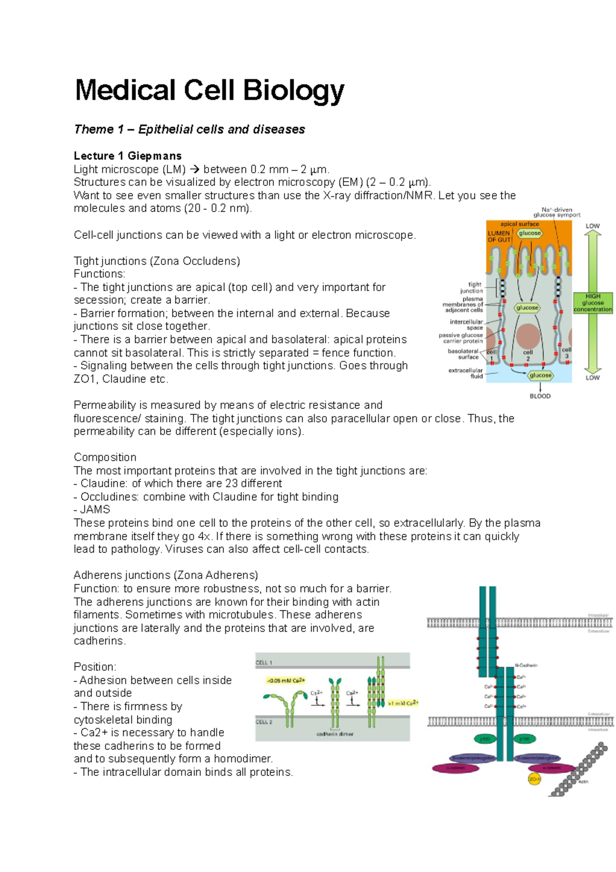 Medical Cell Biology - Summary - Medical Cell Biology Theme 1 ...