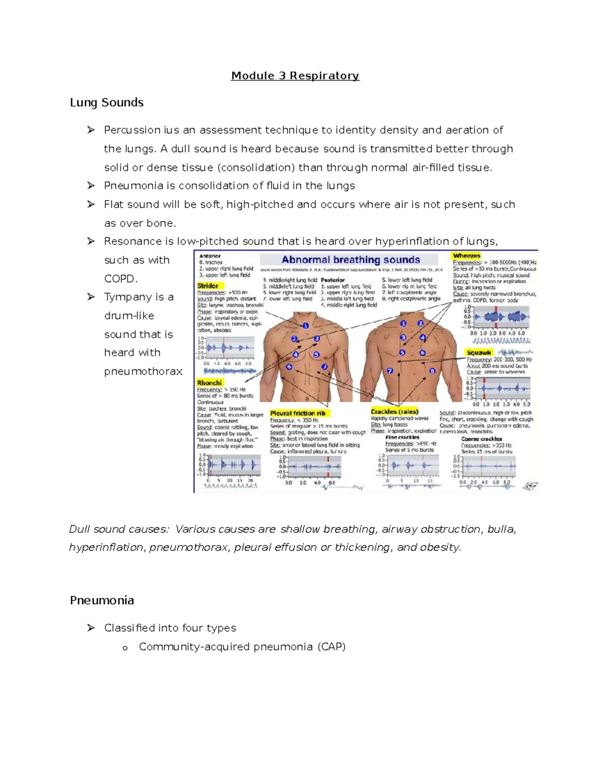 Module 3 Respiratory - Notes - Module 3 Respiratory Lung Sounds ...
