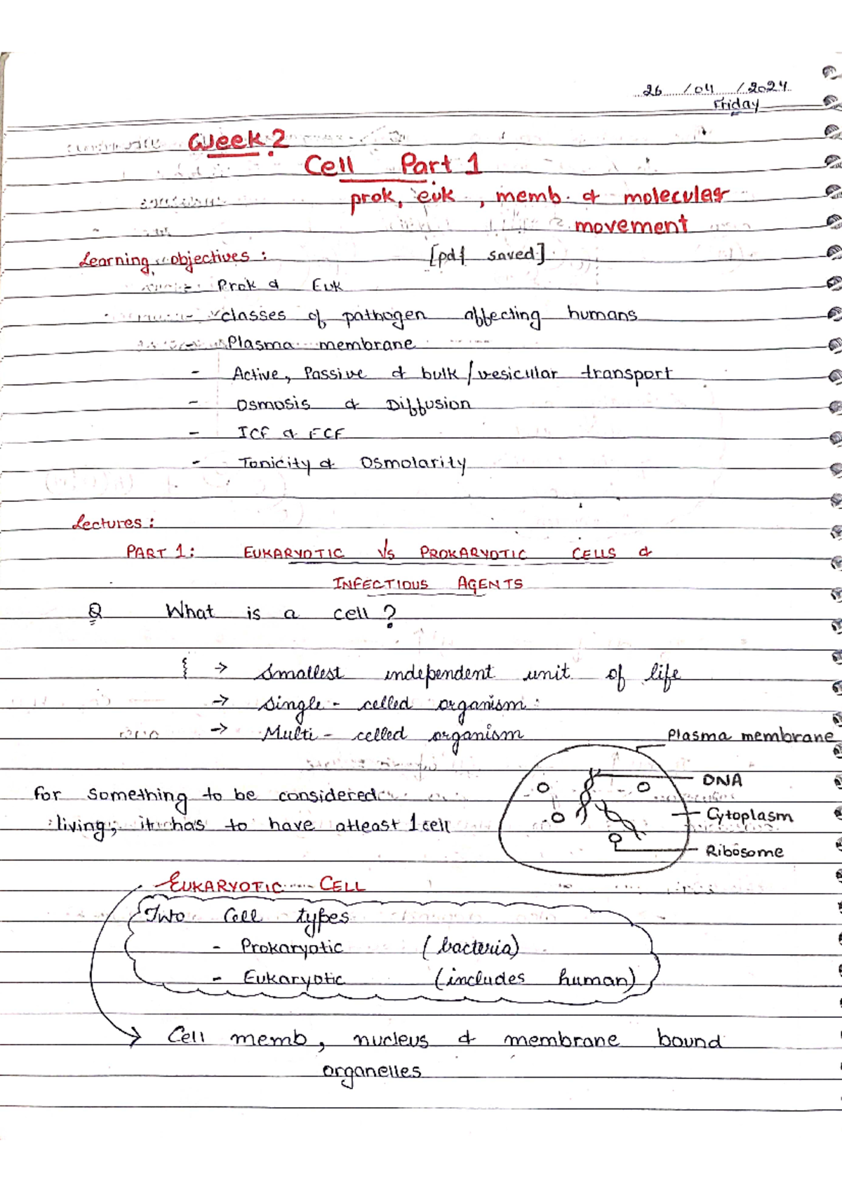 Cells-1 - 26 1011 2024 Friday are week 2 Cell Part 1 prok, euk , memb ...