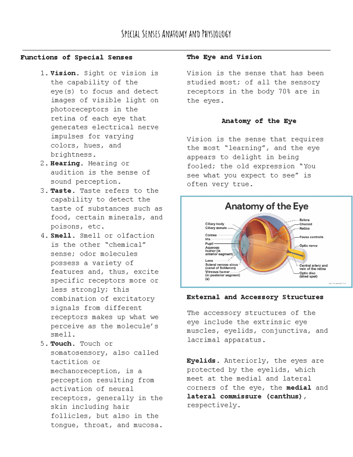 Special Senses Anatomy and Physiology - Special Senses Anatomy and ...