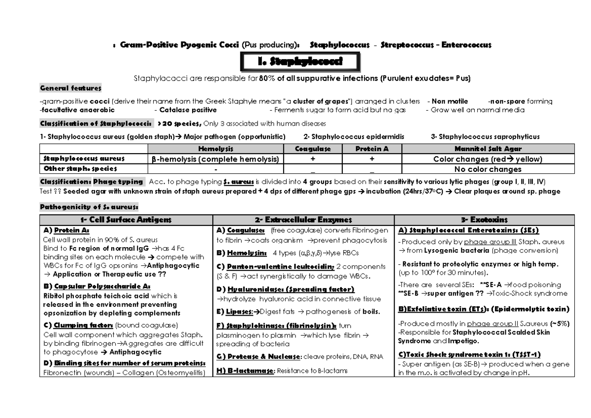 Gram +ve Lecture 2 (Staph) - : Gram-Positive Pyogenic Cocci (Pus ...