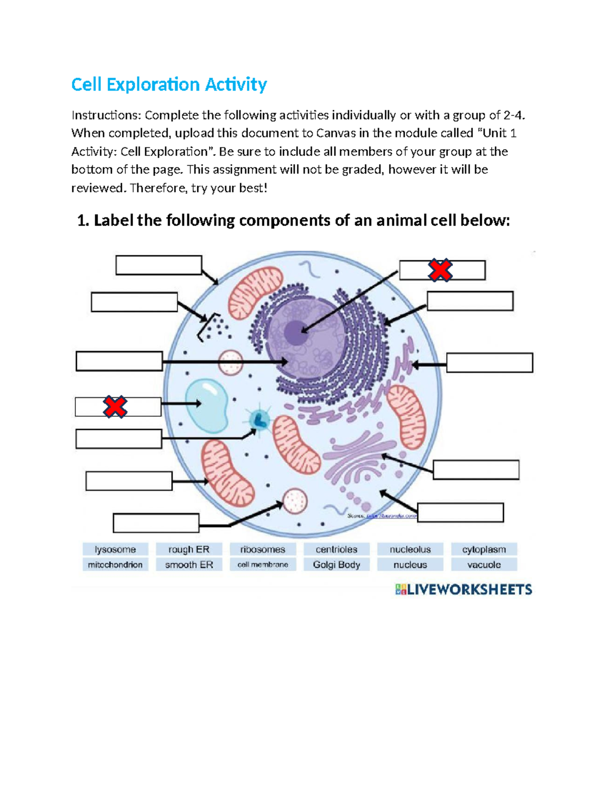Unit 1 Activity Cell Exploration (12) - Cell Exploration Activity ...