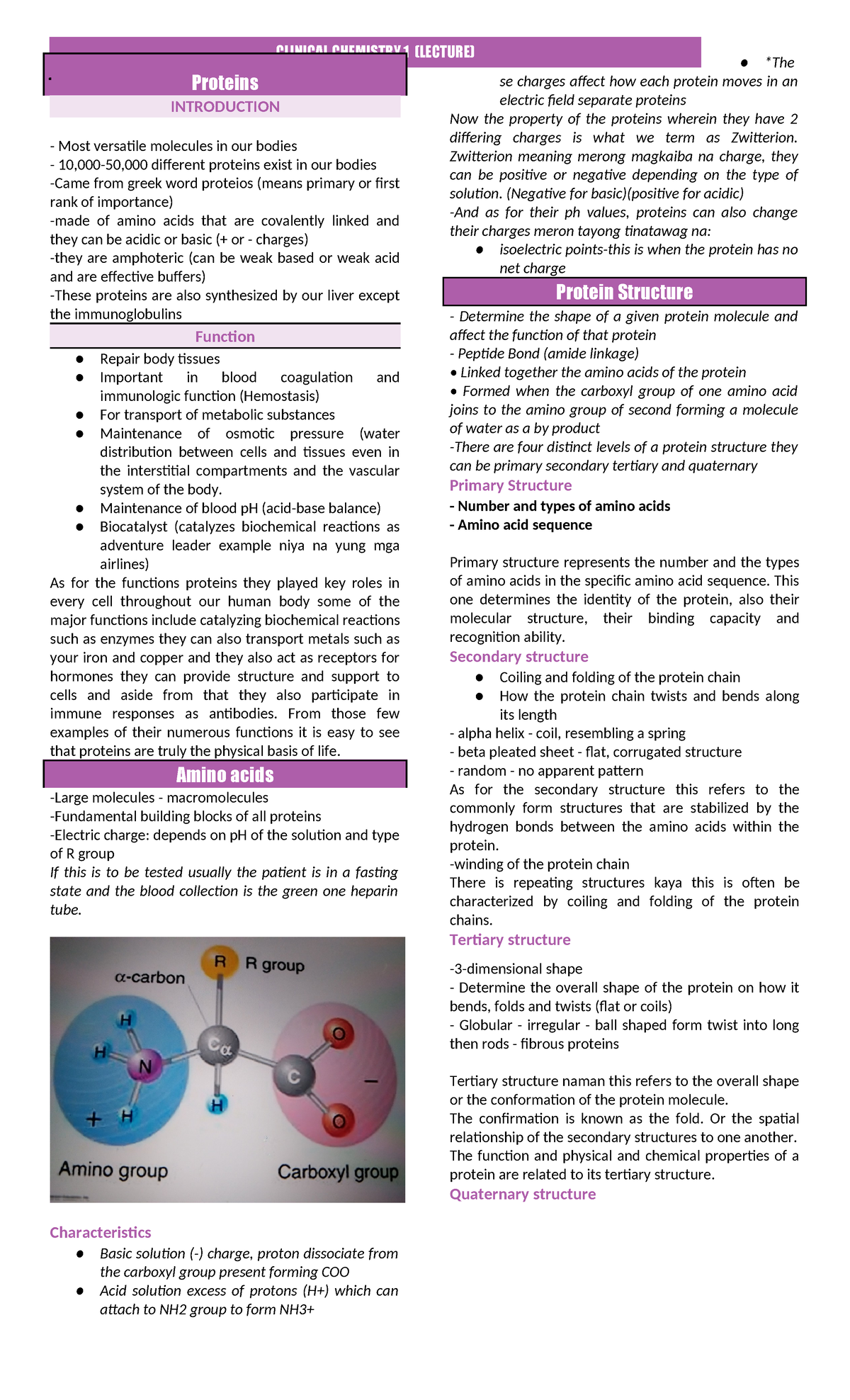Proteins - notes. - Proteins INTRODUCTION Most versatile molecules in ...