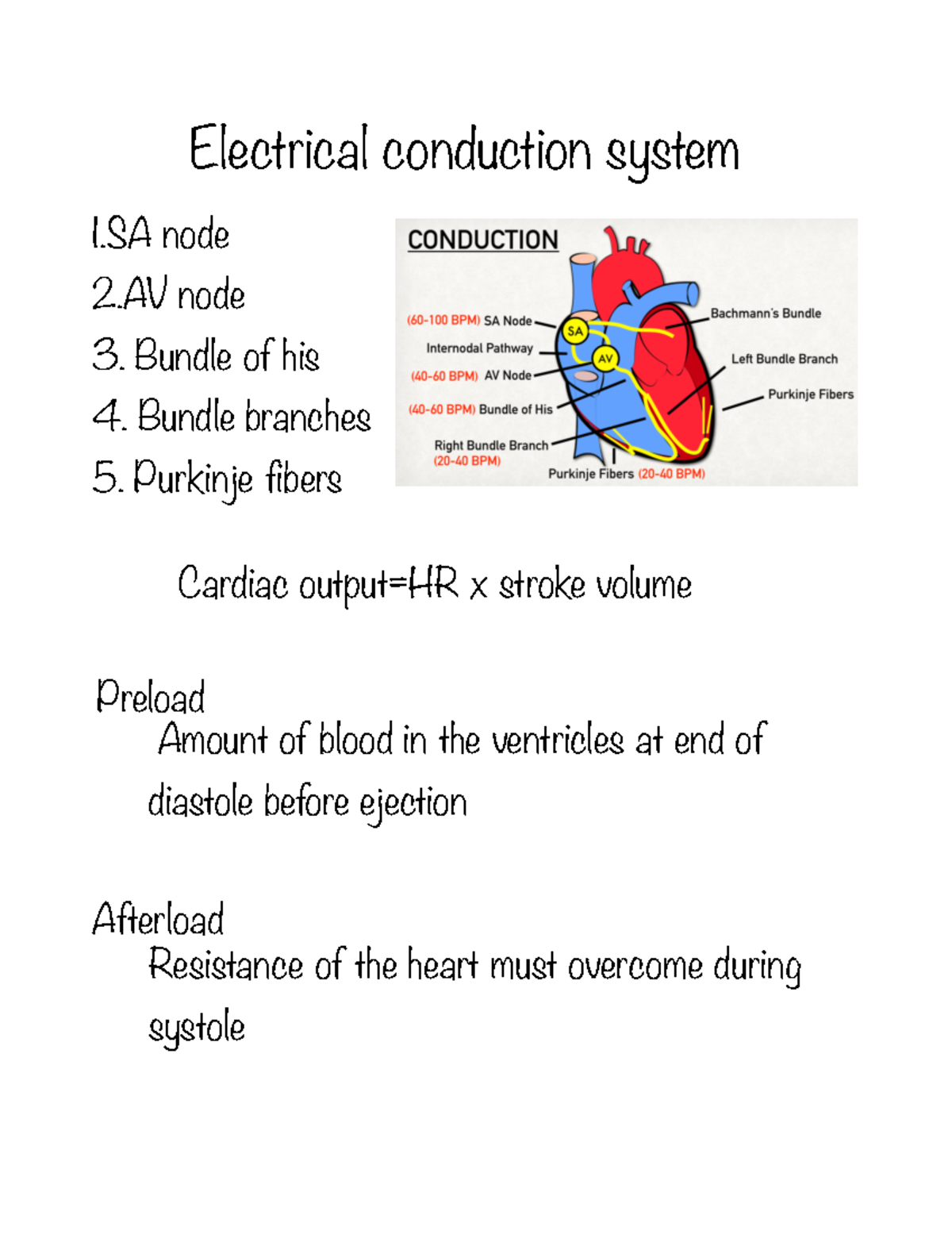 Basic heart info - Electrical conduction system I node 2 node 3. Bundle ...