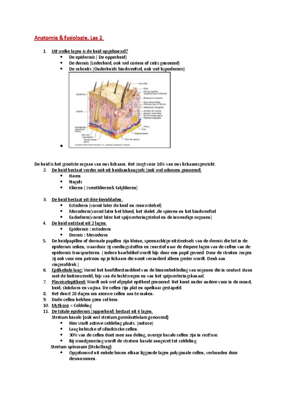 Anatomie Huidtherapeut - Anatomie fysiologie. Les 2 1. Uit welke lagen ...