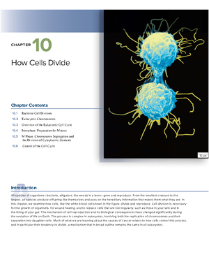 ACL Guide - N.A - ACL Melbourne ACL Rehabilitation Guide 2. A criteria ...