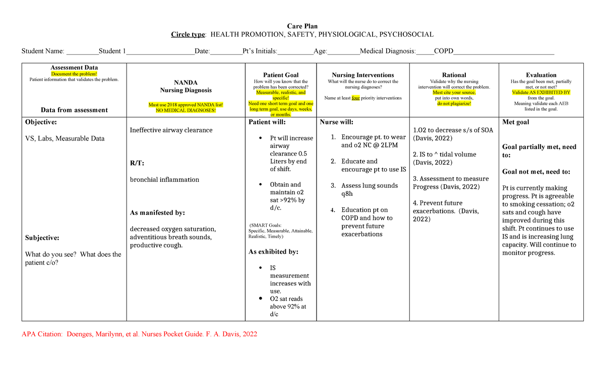 Care Plan Example BSN - guidline - Care Plan Circle type: HEALTH ...