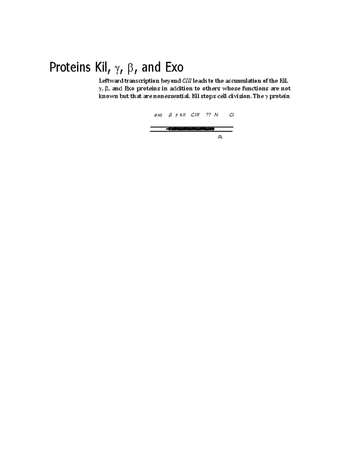 Proteins Kil - Kil stops cell division. The protein exo kil CIII ?? N ...