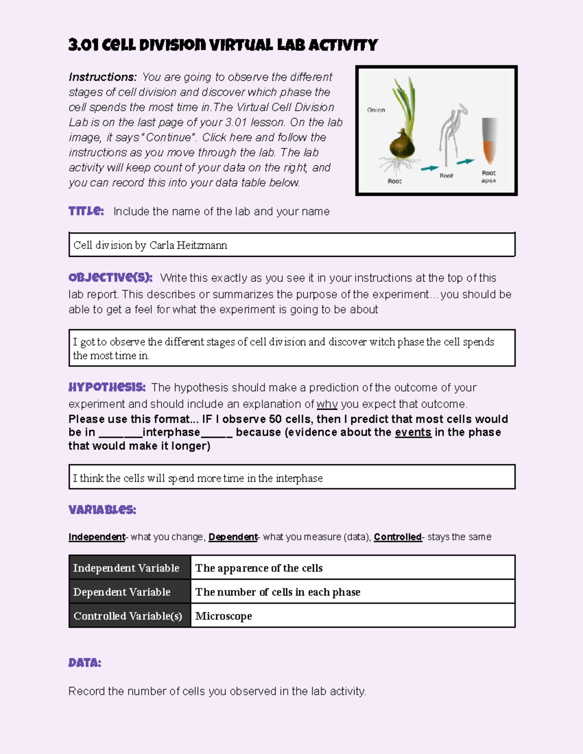 Copy of 3 01 Lab Report Template v23 - 3 Cell Division Virtual Lab Activity Instructions: You ...