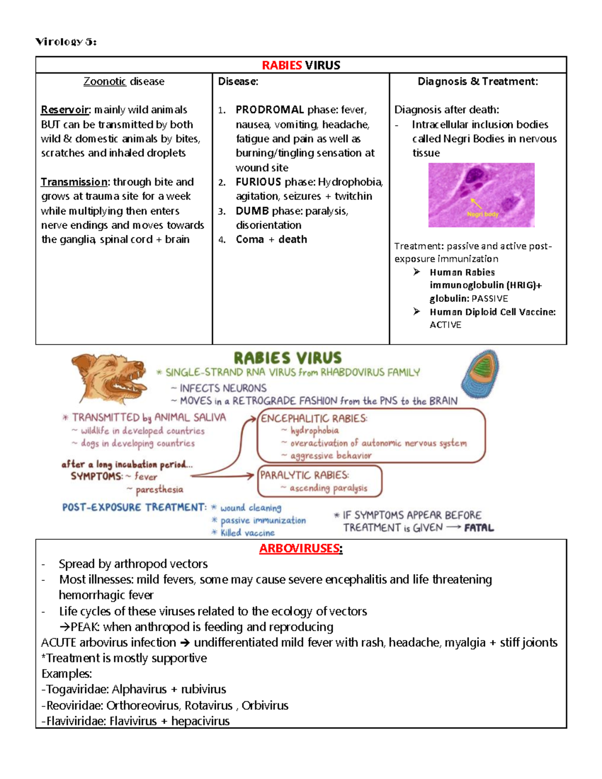 Virology 5 - Lecture notes 1 - Virology 5: RABIES VIRUS Zoonotic ...