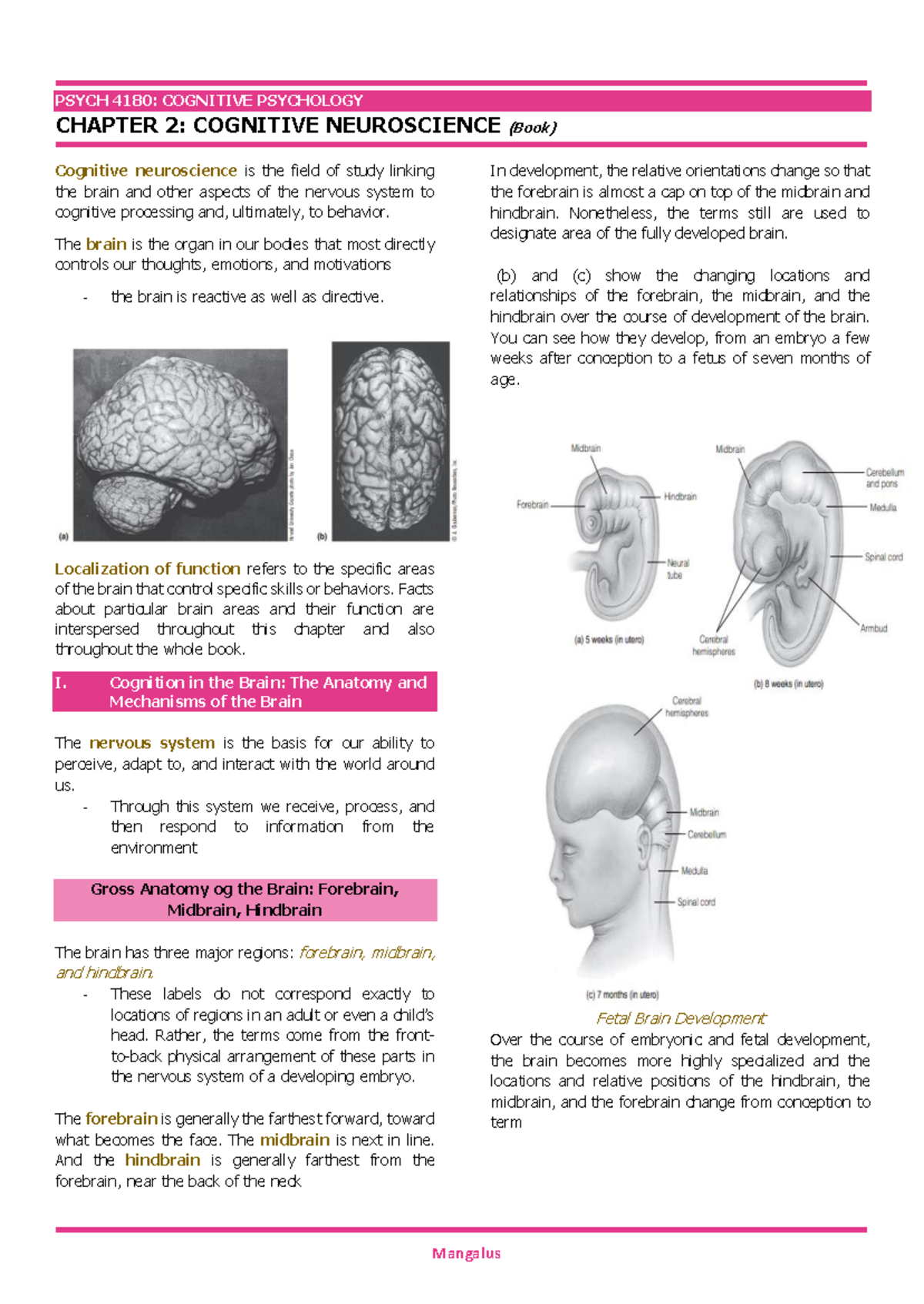 Chapter 2 - sssssss - CHAPTER 2 : COGNITIVE NEUROSCIENCE (Book) Cognitive neuroscience is the ...