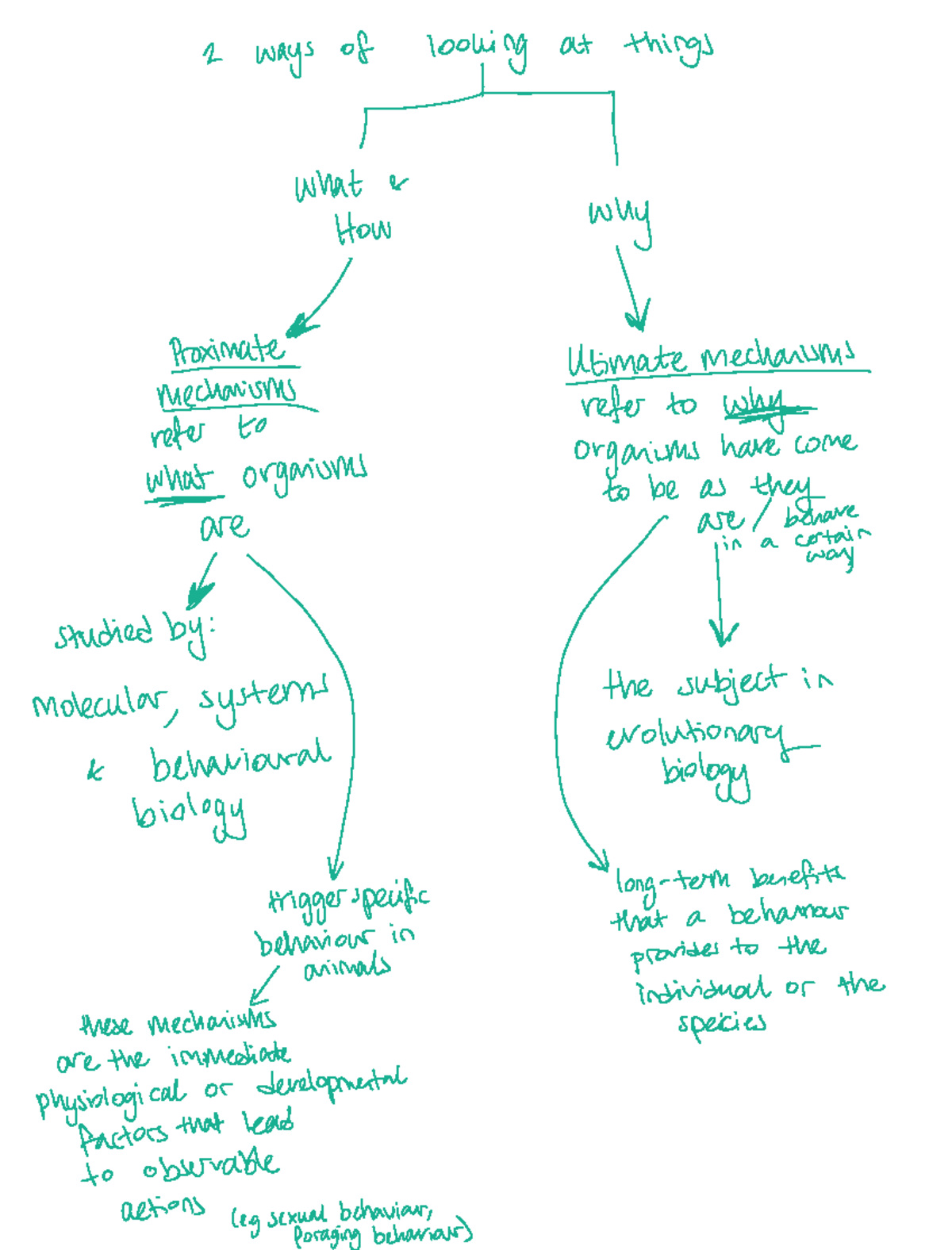 Proximate vs ultimate mechanisms - 2 ways of looking at things what How ...