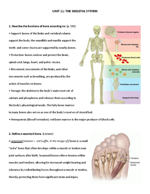 Anatomy Week 1 Objectives Notes - WEEK 1: Objectives - UNIT 1: THE ...