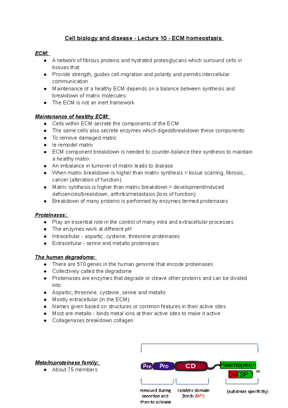 Cell biology and disease - Lecture 10 - ECM homeostasis - Cell biology ...