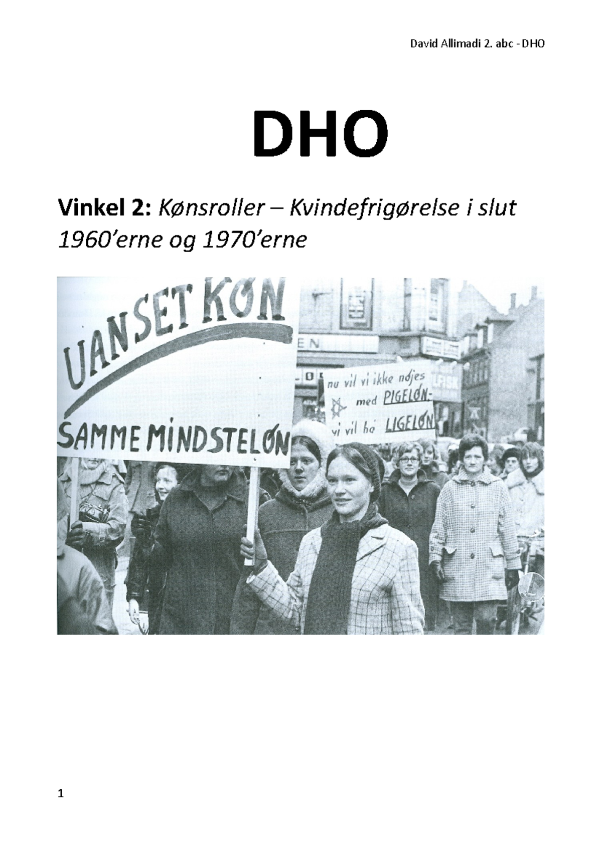 DHO, DHODHODHODHODHODHO DHO DHO DHODHO - DHO Vinkel 2: Kønsroller ...