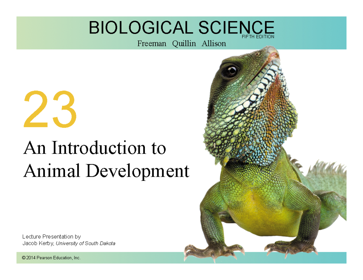 Animal Development I 4.20.15. travis:osuna - BIOLOGICAL SCIENCE FIFTH ...
