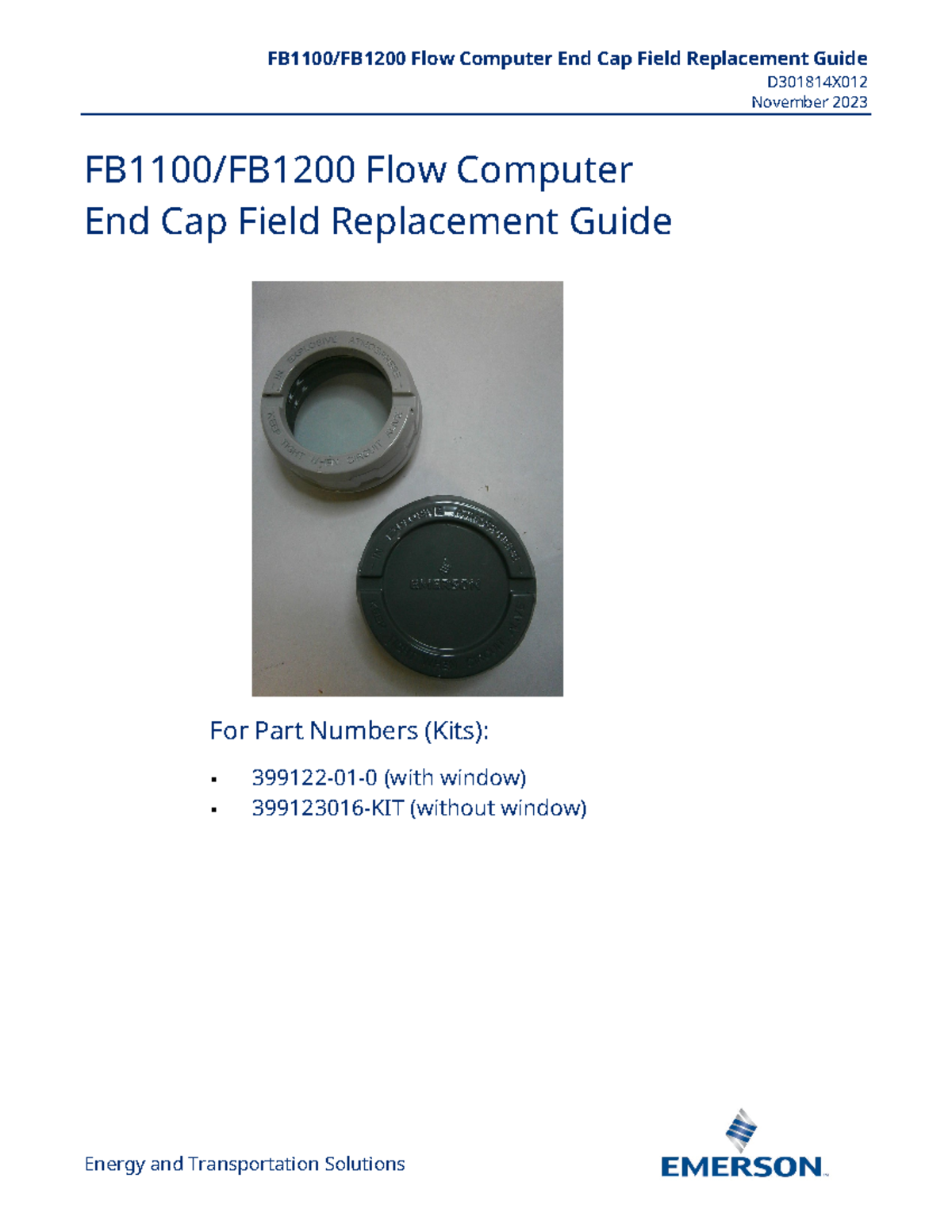 Fb1100 fb1200 flow computer end cap field replacement guide en 4213740 ...