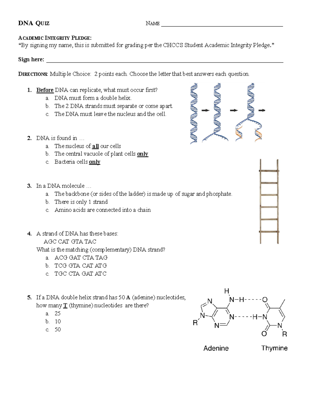 DNA Quiz ESL - Bilingual studies for ESL students - DNA QUIZ NAME - Studocu