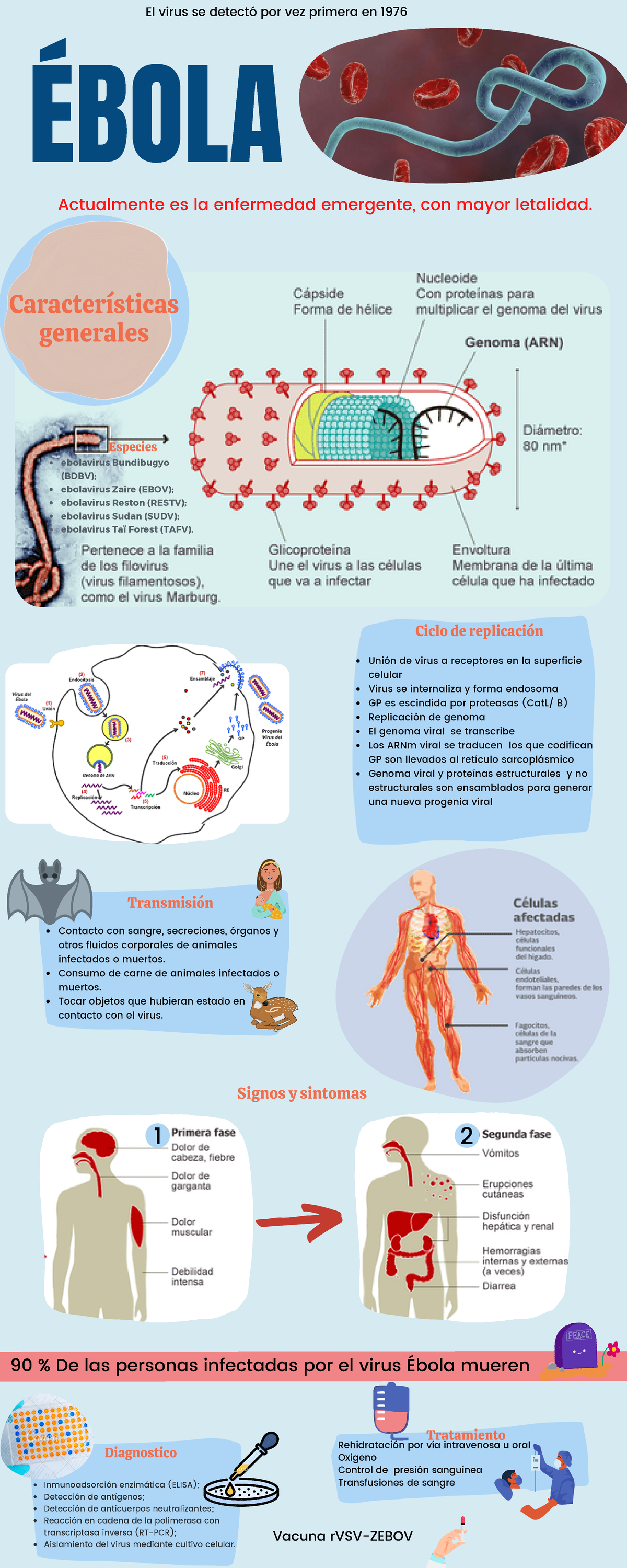 Infografia de virus del Ebola, microbilogia - Transmisión Contacto con ...