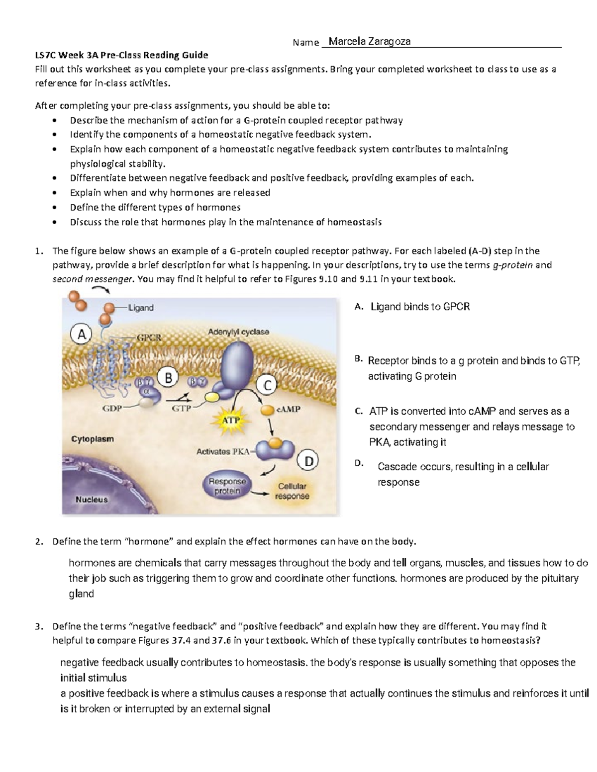Week 3A - Week 3A Pre Reading Guide - Name ...