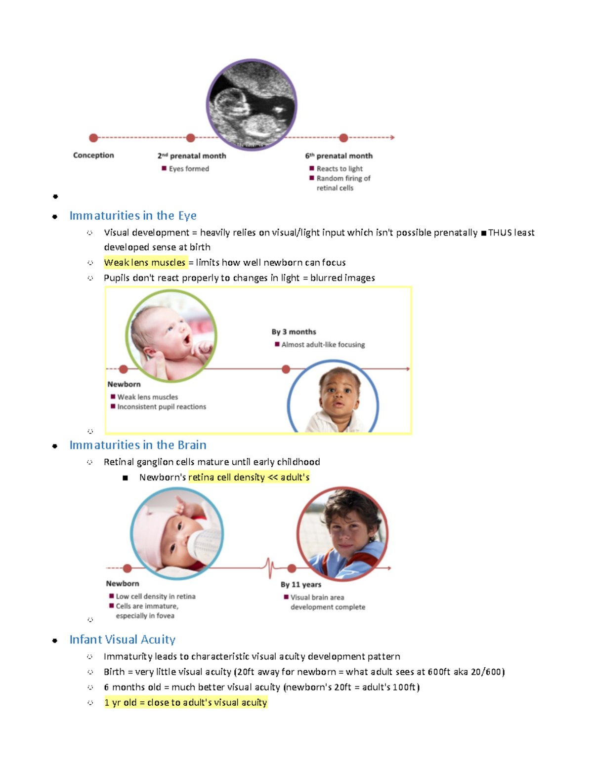 Psych final notes-15 - Immaturities in the Eye Visual development ...