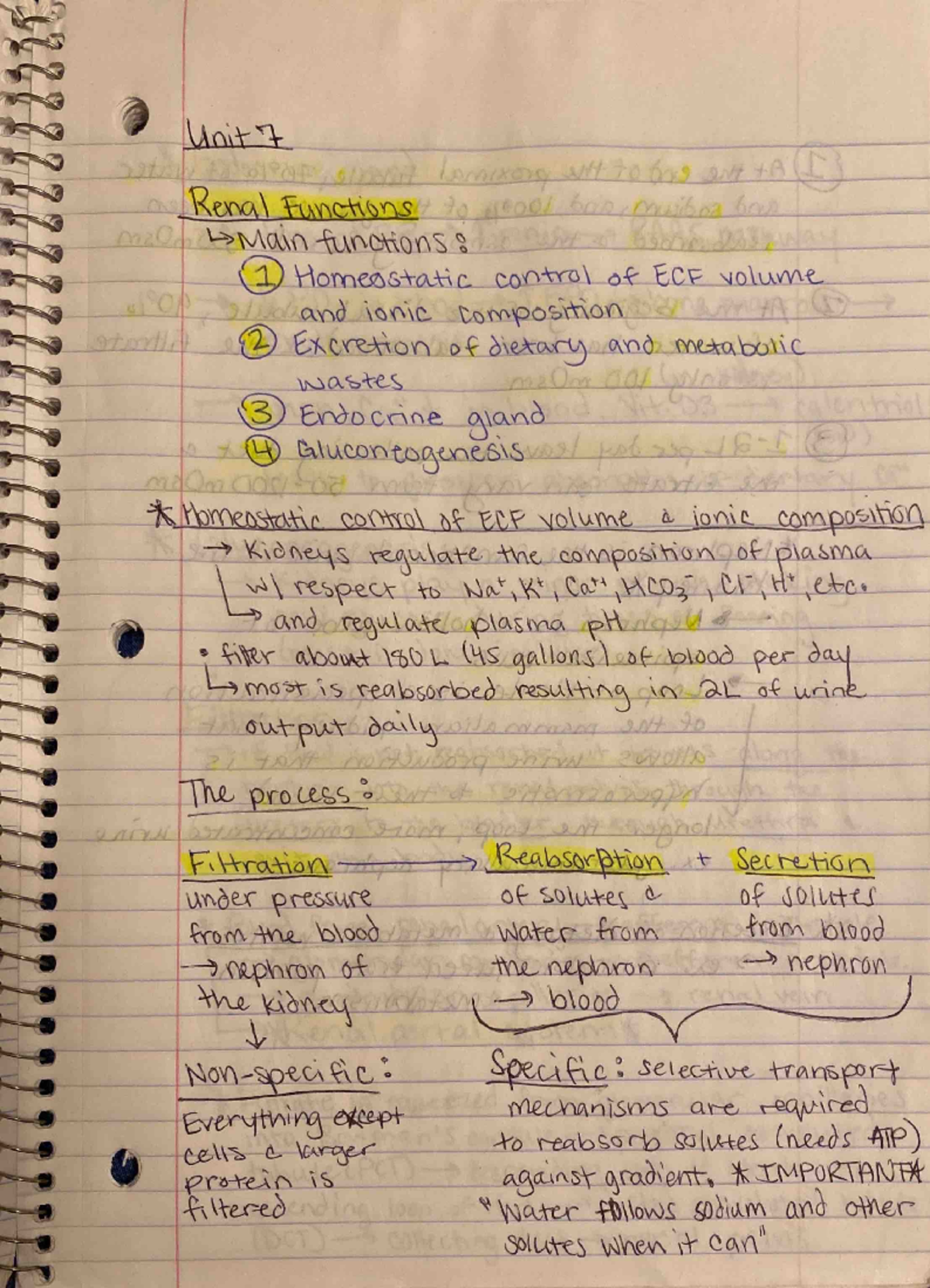 Unit 7 - unit 7 notes - BIO 277 - Studocu