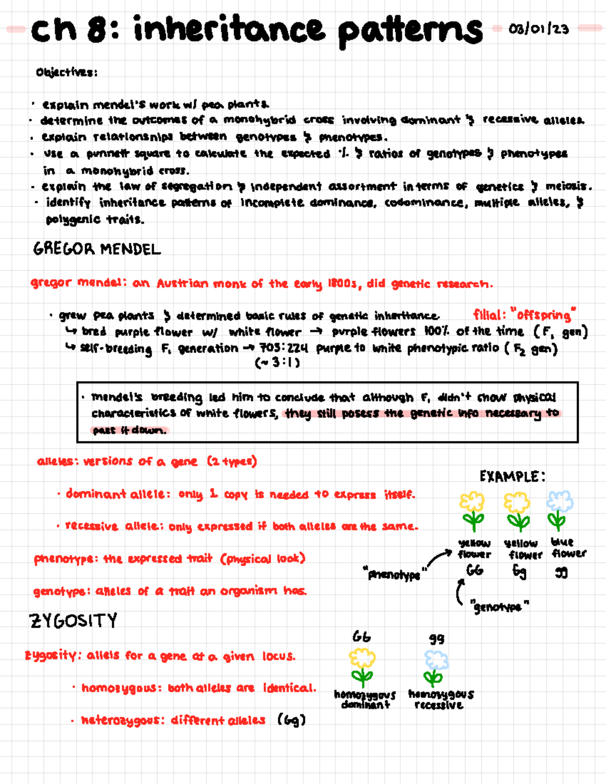 Inheritance Patterns in Pea Plants - Studocu