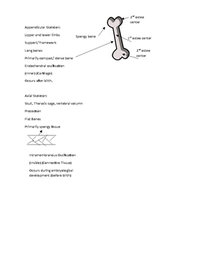 Module 11 Blood Typing Activity Worksheet - Transfusion Reaction ...