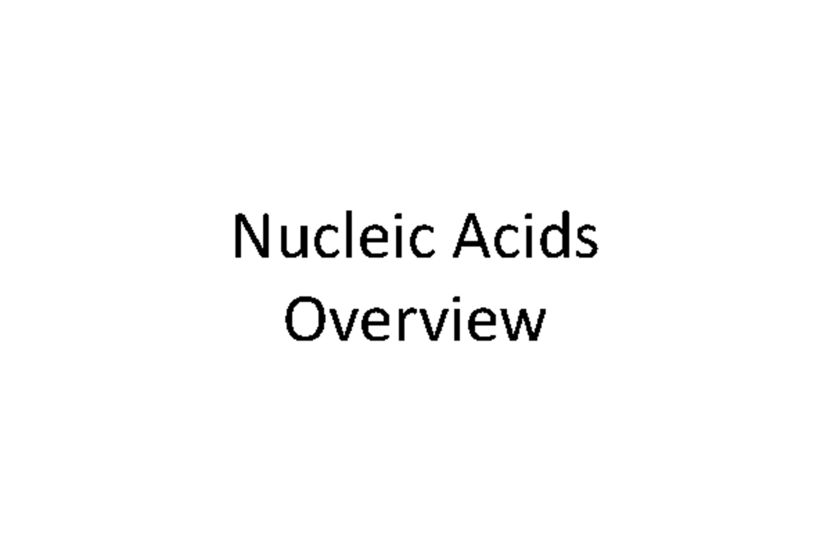 CHE102 Homework - Nucleic Acids Overview Focus on: Structure of DNA/RNA ...