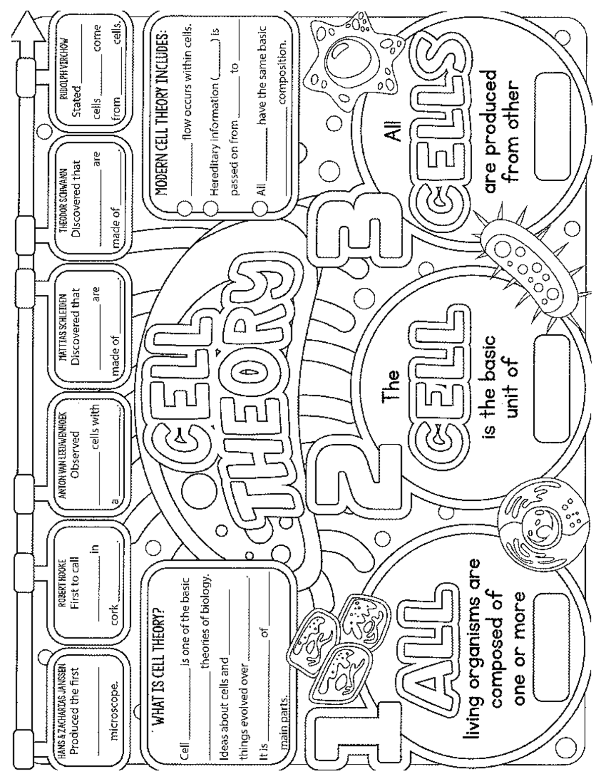 Cells Worksheet - BIO115A - Studocu