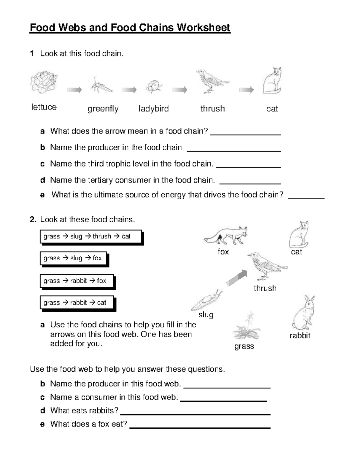 Food Webs and Food Chains Worksheet - lettuce greenfly ladybird thrush ...