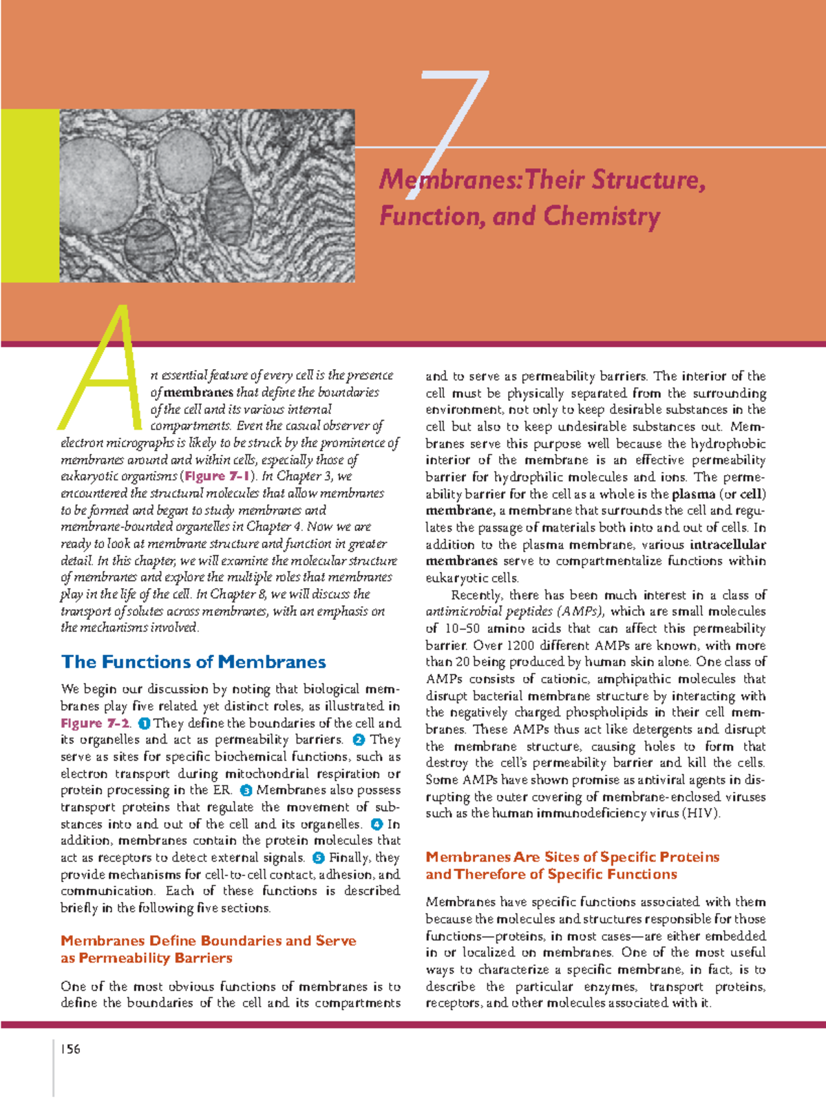 Membrane - ..... - 7 Membranes:Their Structure, Function, and Chemistry ...