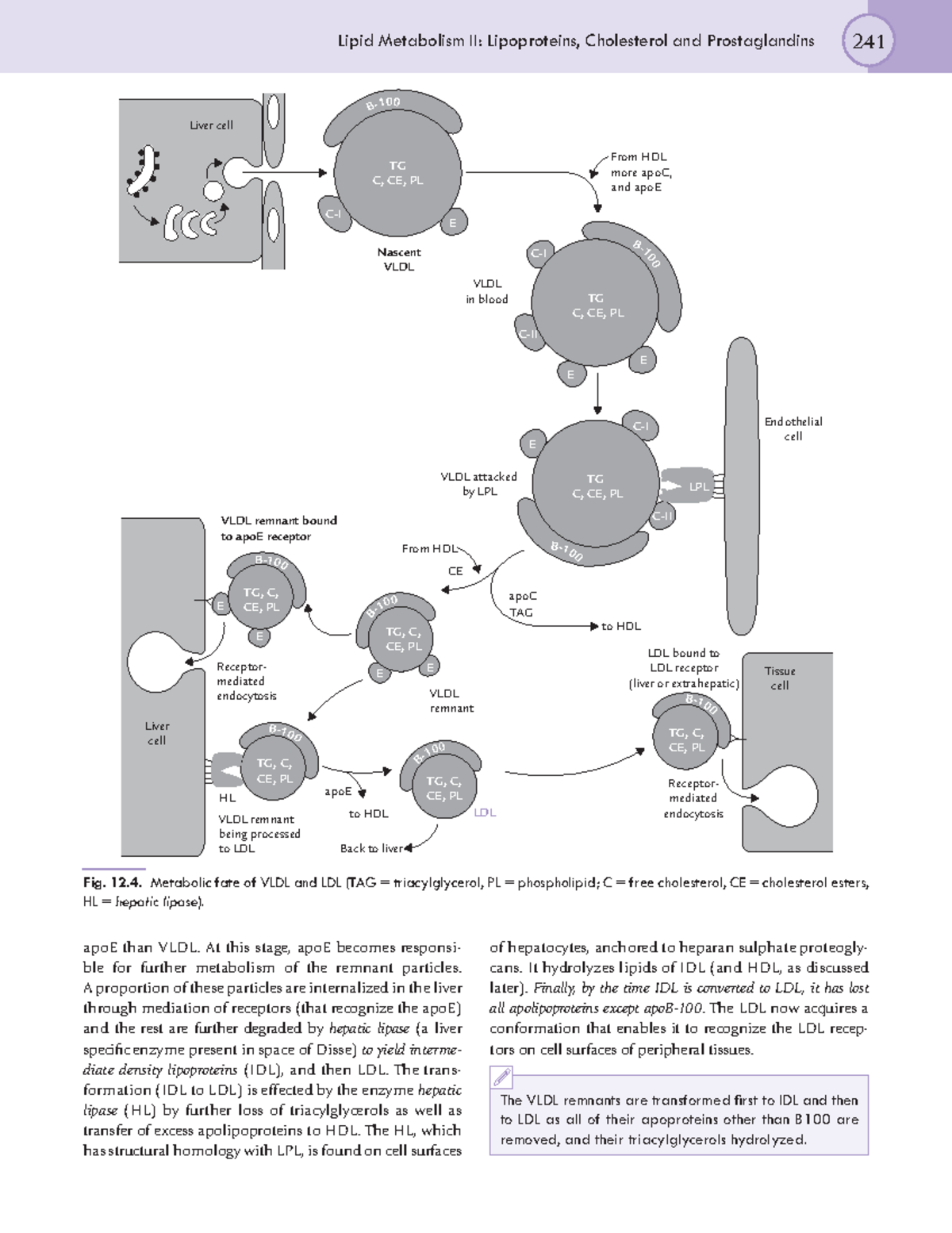 Biochemistry 1-88 - N/A - Lipid Metabolism II: Lipoproteins ...