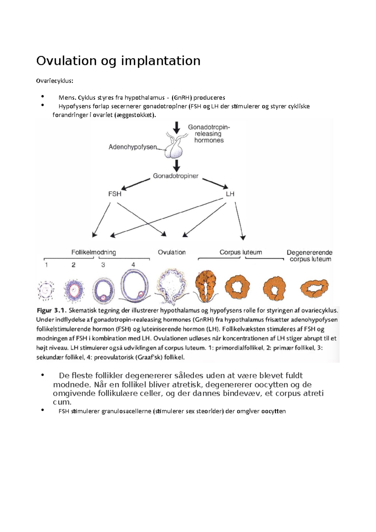 Ovulation - Embryologi - Ovulation og implantation Ovariecyklus: Mens ...