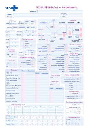 Ficha perinatal ambulatorio - 1º mês 2º mês 3º mês 4º mês 5º mês 6º mês 7º mês 8º mês 9º mês 1º ...