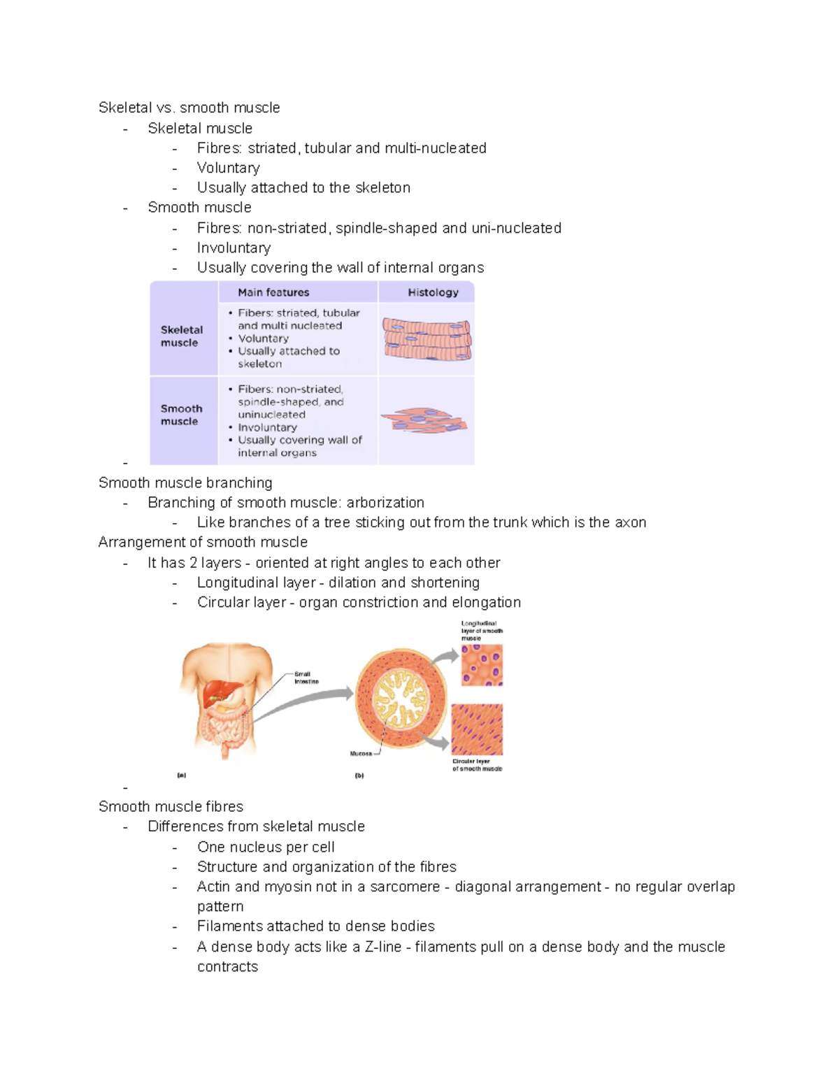 Smooth muscle Lecture 1 - Skeletal vs. smooth muscle - Skeletal muscle ...