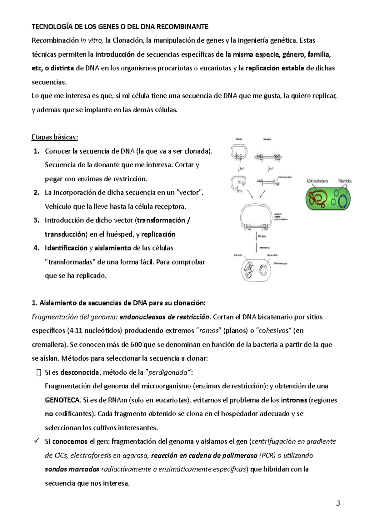 Tema 24 - Apuntes 1 - TECNOLOGÍA DE LOS GENES O DEL DNA RECOMBINANTE ...