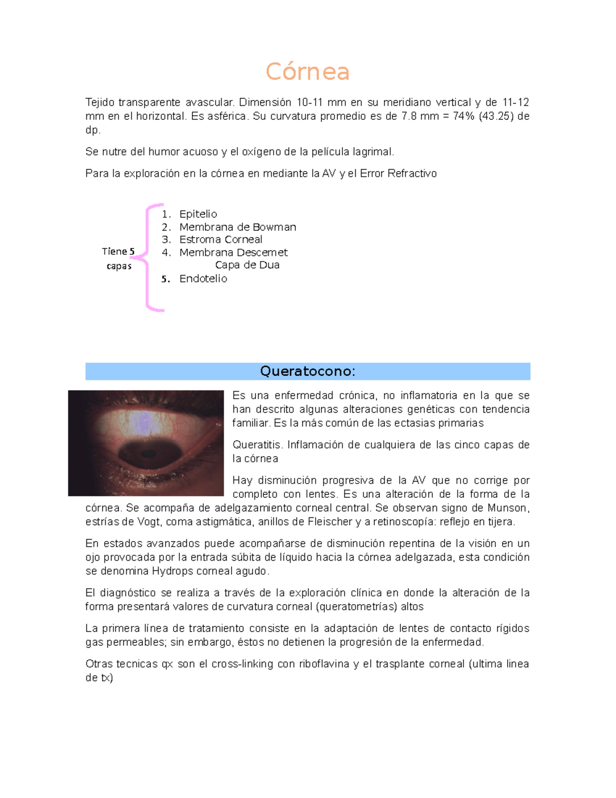 Córnea - Caracteristicas de la cornea y principales patologias - Córnea ...