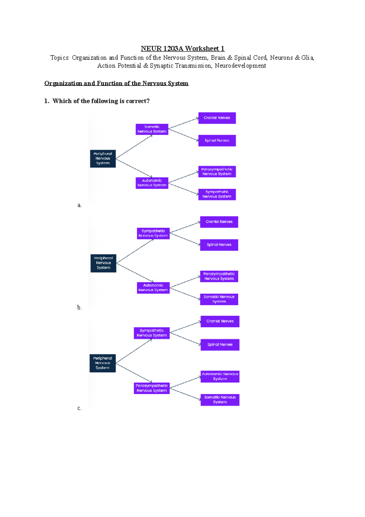 NEUR 1203 Worksheet - NEUR 1203A Worksheet 1 Topics: Organization and ...