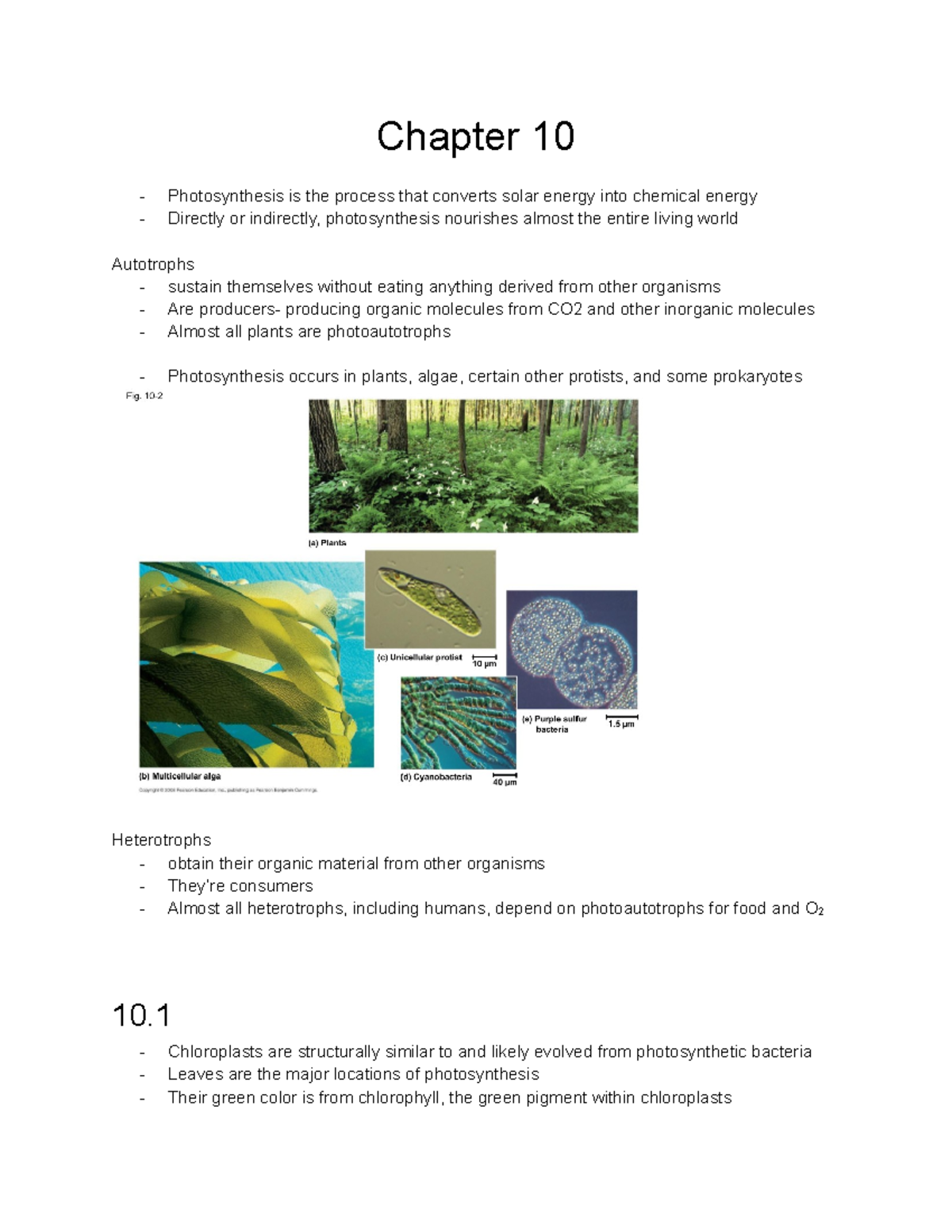 Biology Chapter 10 - Chapter 10 Photosynthesis is the process that ...
