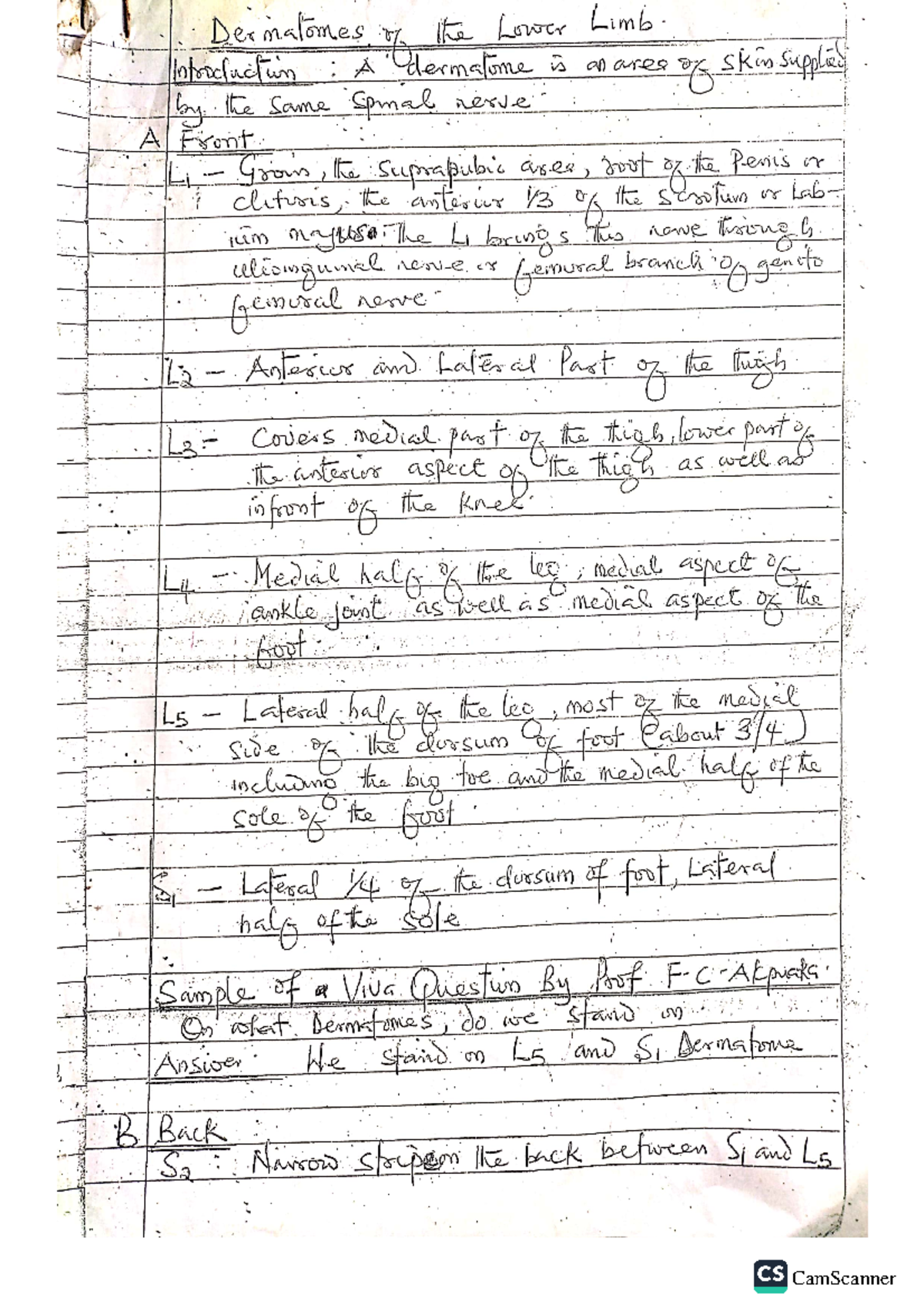 Lower limb material - Introduction : A dermatome is an area of Skin ...